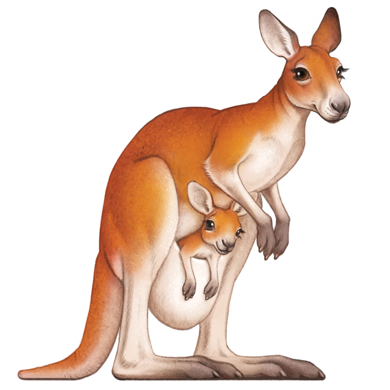 VBS 2025 – Vacation Bible School – St. Peter Lutheran Church